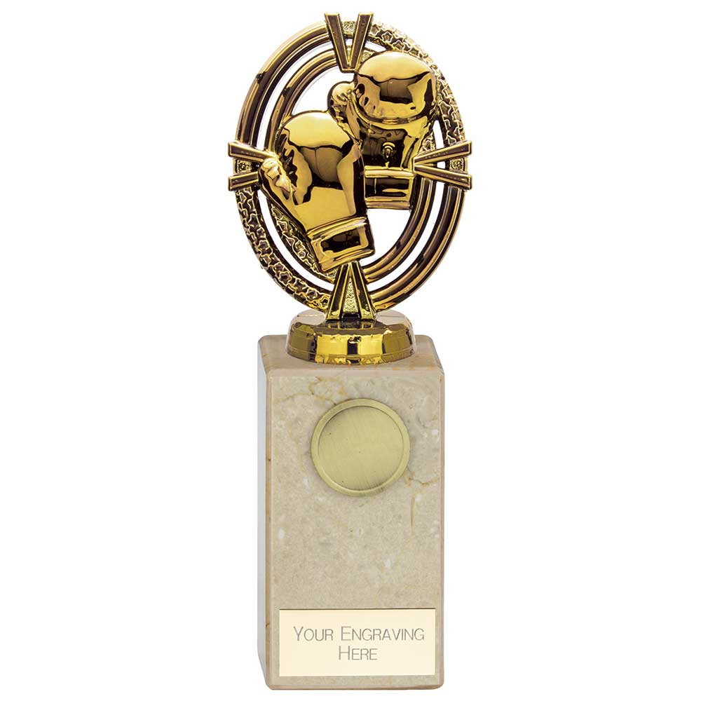 Maverick Legend Boxing Award Fusion Gold 200mm – Knight Fighters